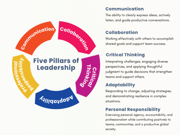 The 5 Pillars of Leadership: Bridging the Gap Between Technical Skills ...